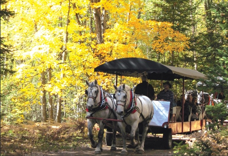 Wolf's Bus Lines offers bus trips to over 300 destinations in the ...